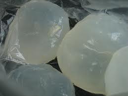 বাংলাদেশের ফলঃ তাল (ছবি ও বর্ননা ব্লগ) - তিতাস একটি নদীর নাম এর বাংলা ...