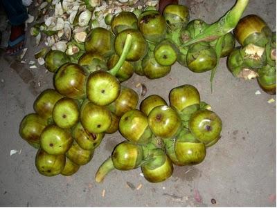 বাংলাদেশের ফলঃ তাল (ছবি ও বর্ননা ব্লগ) - তিতাস একটি নদীর নাম এর বাংলা ...