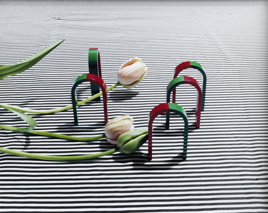 Annette Kelm – Art & Musées – VOX centre de l'image contemporaine 2016 ...