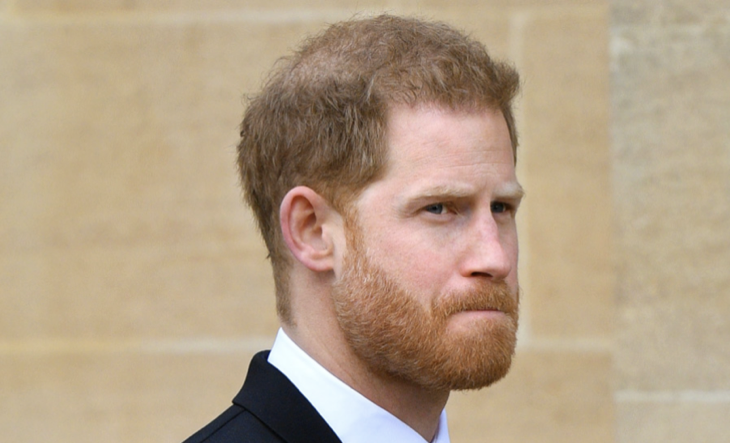 Prince Harry Gives Up Hunting Rifles, Megan Markle Says, 'No More ...