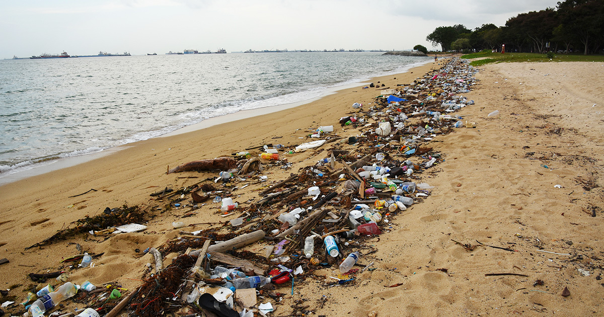 Join The Movement to End Single Use Plastics | Story of Stuff