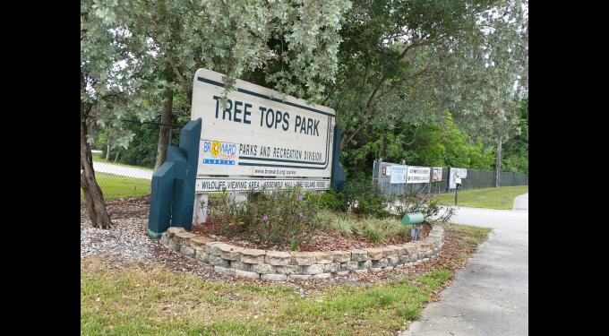 Tree Tops Park | South Florida Finds