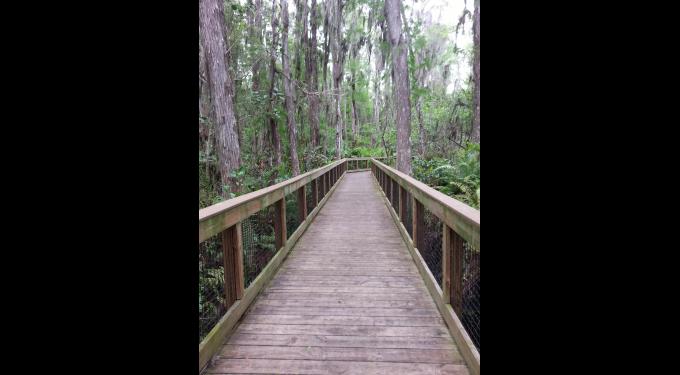 Arthur R. Marshall Loxahatchee National Wildlife Refuge | South Florida ...