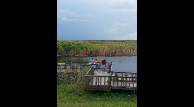 Arthur R. Marshall Loxahatchee National Wildlife Refuge | South Florida ...