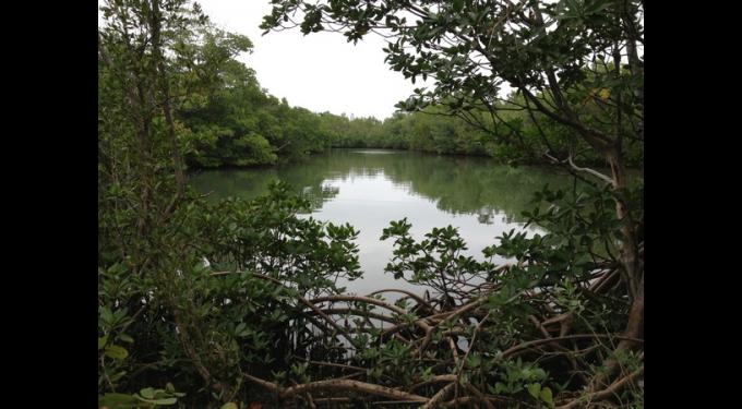 Oleta River State Park | South Florida Finds