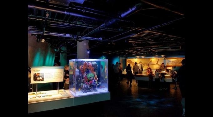 Patricia and Phillip Frost Museum of Science | South Florida Finds