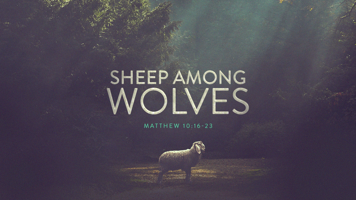 Sheep Among Wolves – Southwest Church of Christ