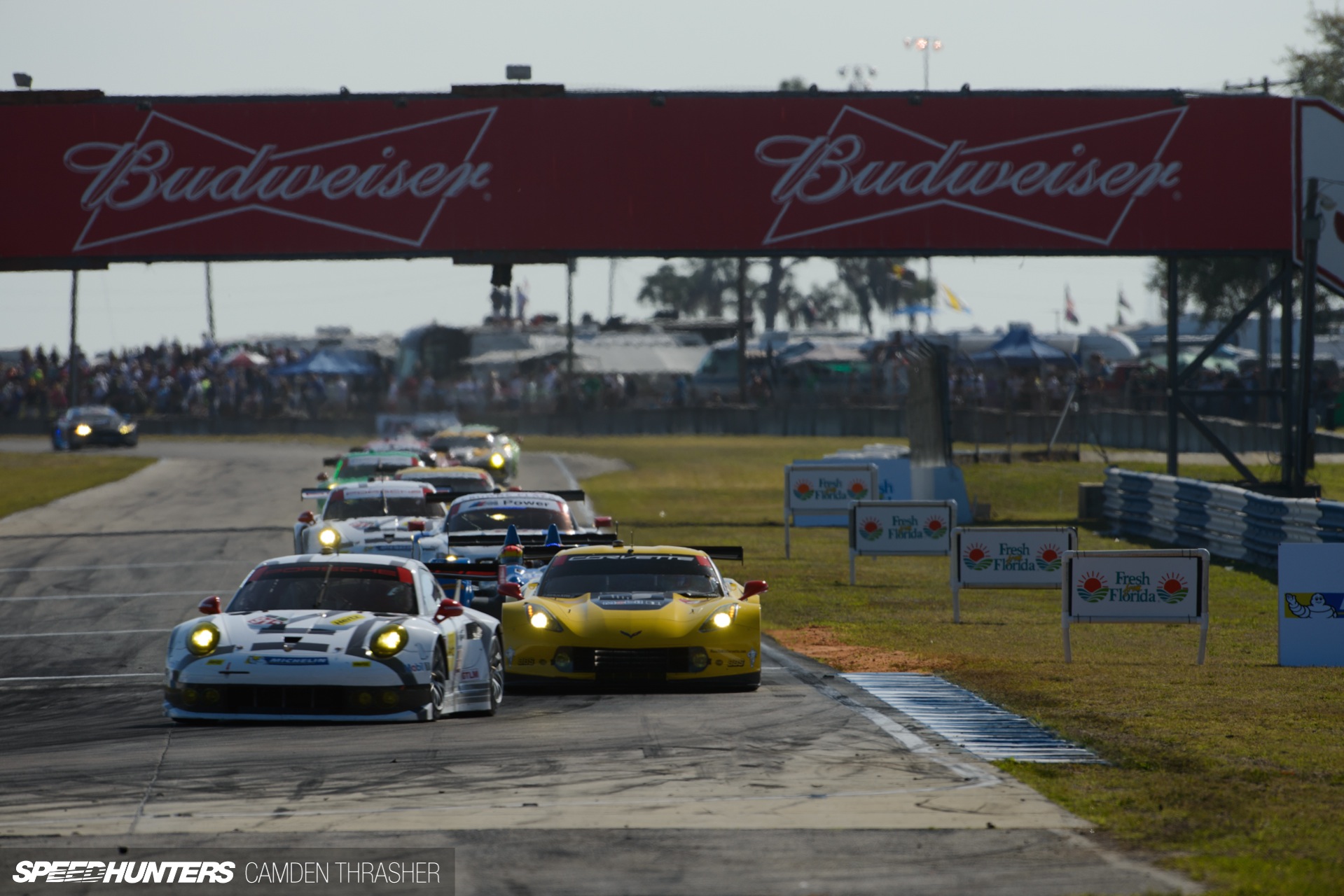 A Tame Race Driver Answers Your Questions - Speedhunters