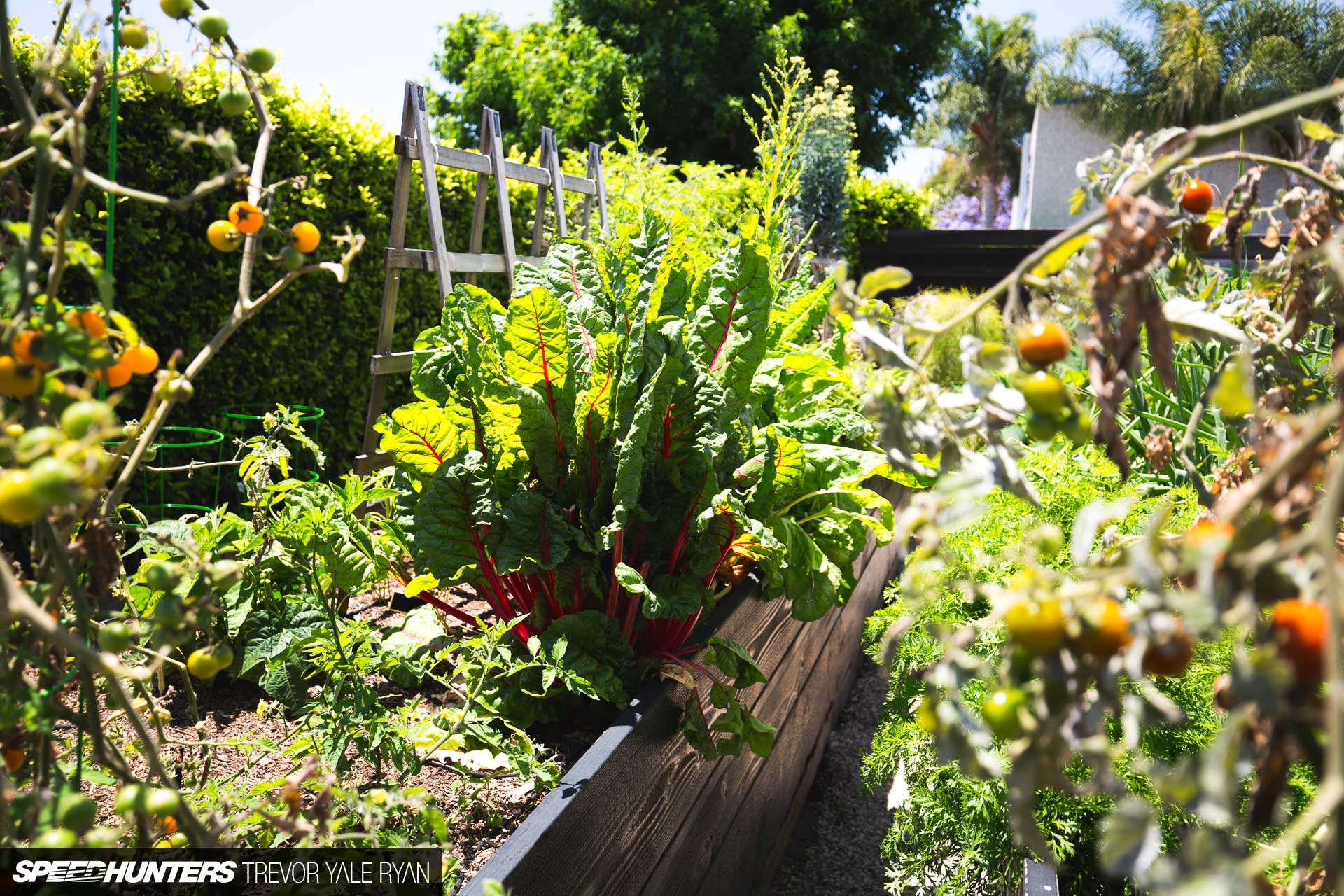 The Sleeper Shop Outside Los Angeles - Speedhunters