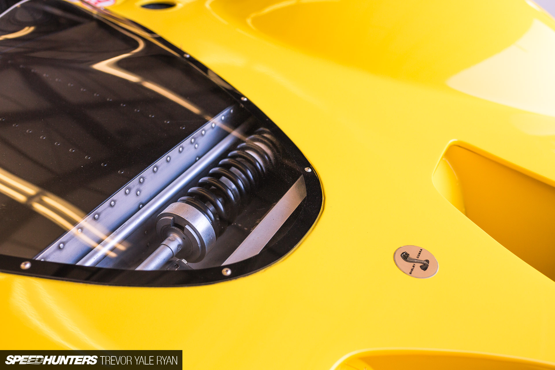 The Last King Cobra Standing - Speedhunters