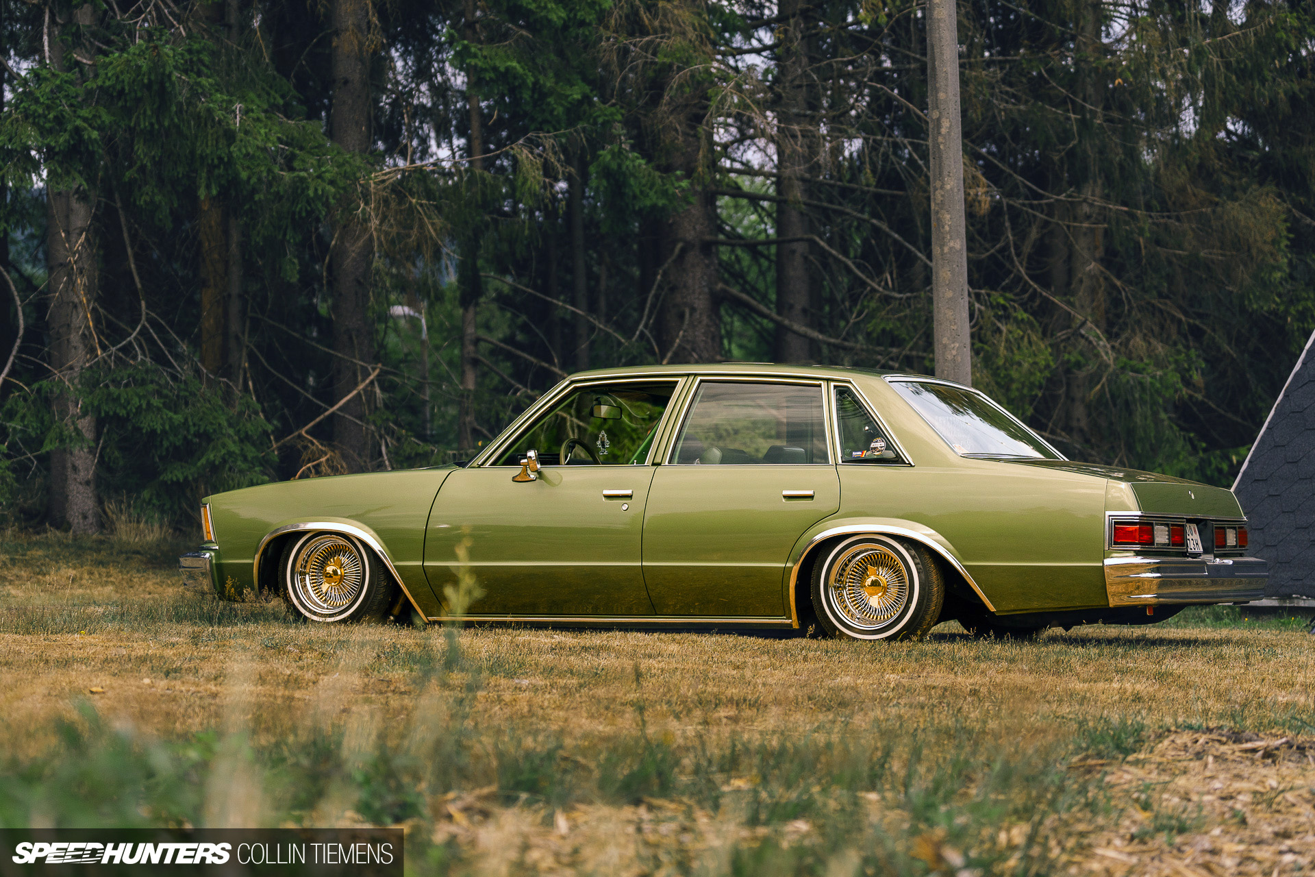 Car Life Is Better In The Woods - Speedhunters