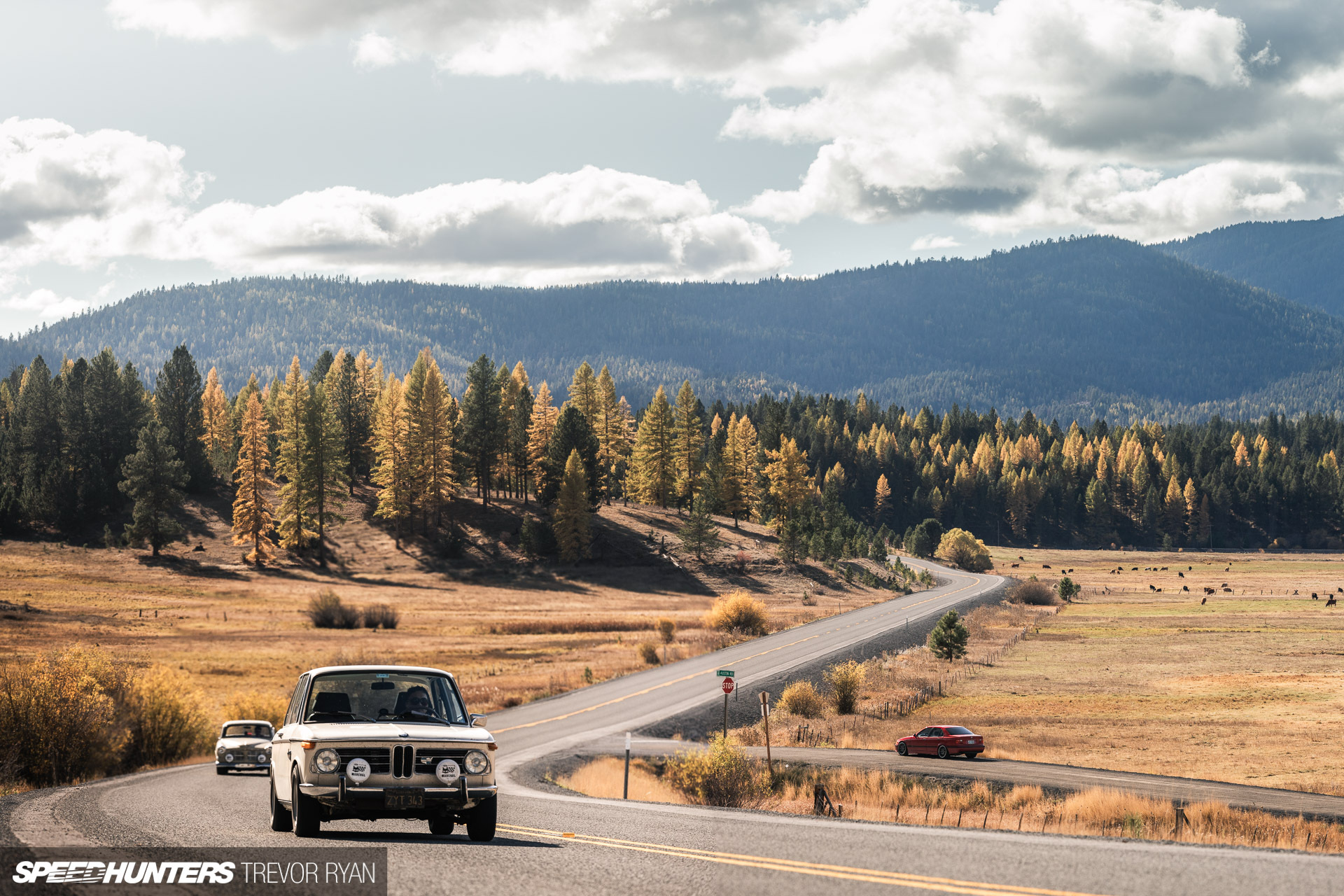 Trevor_Ryan-Speedhunters-2023_Overcrest-Rally-Digital-021-7100 - Speedhunters