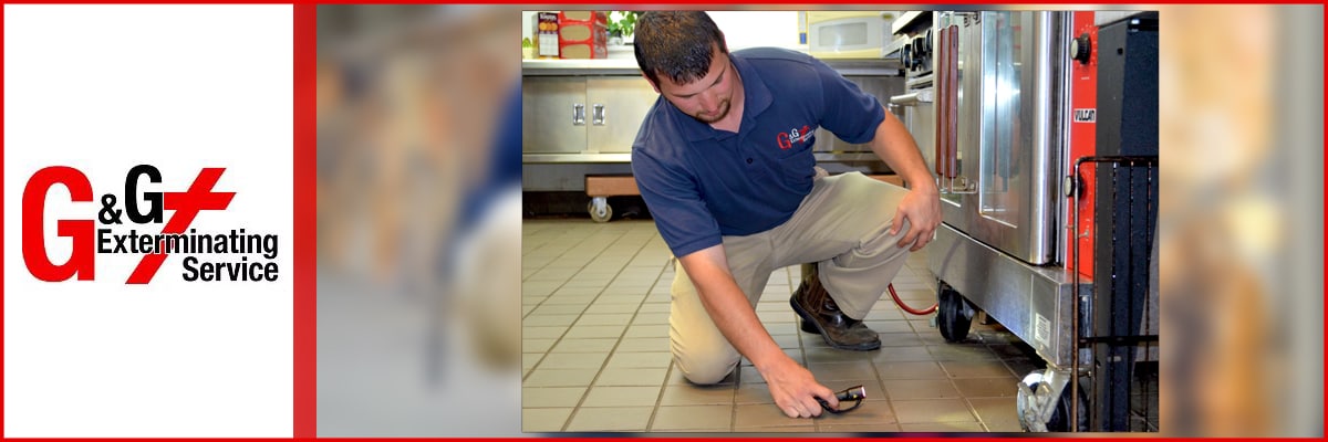 G&G Exterminating Service is an Exterminator in Douglasville, GA
