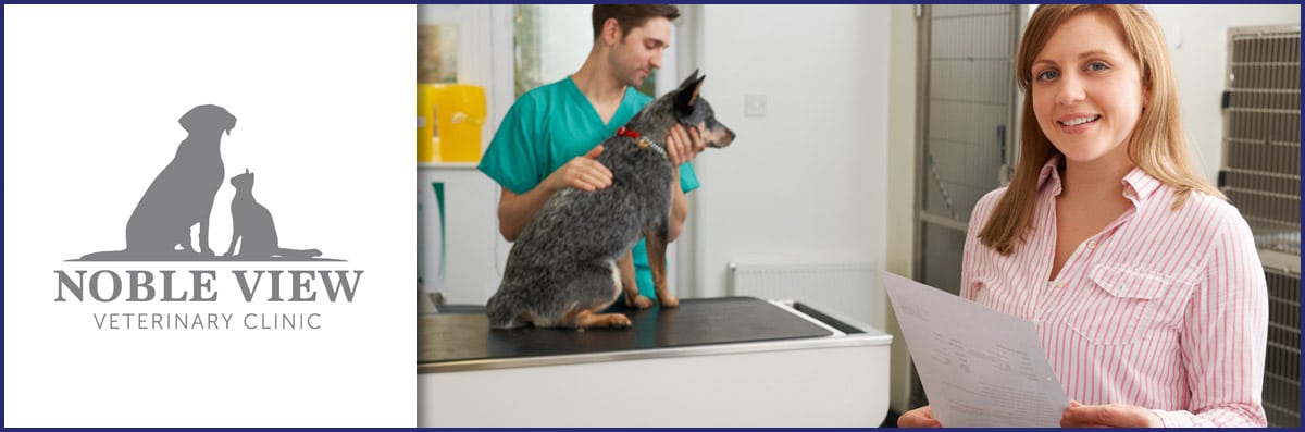 Noble View Veterinary Clinic Performs Animal Surgery in Georgetown, KY
