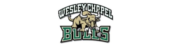 University of South Florida - Powered by Spinzo