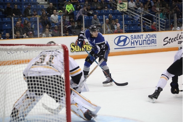 Saint John Sea Dogs - Powered by Spinzo