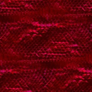 Red Snake Skin Pattern