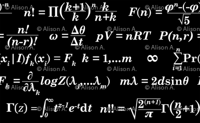Equations and Equations - Black fabric - primenumbergirl - Spoonflower