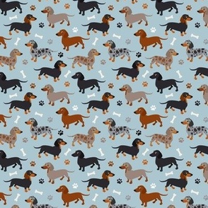 Dachshund Dogs Blue - Spoonflower