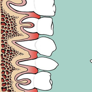 Teeth in gums border - Spoonflower