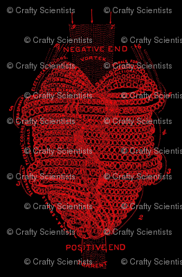 Babbitt_atom_1878-ed giftwrap - craftyscientists - Spoonflower