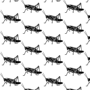 Grasshoppers by Kim Rossiter - Spoonflower