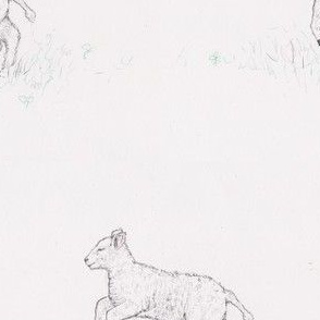 catherine_digman's shop on Spoonflower: fabric, wallpaper and home decor