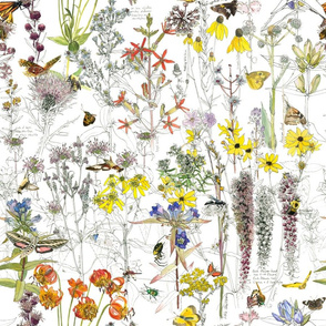 Summer Prairie Flowers - Spoonflower