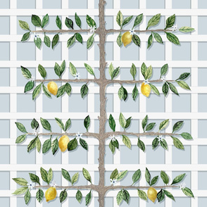 Trellis and Lemon Espalier Branch | Spoonflower