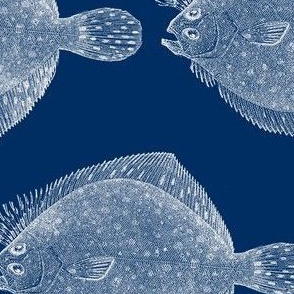Vintage Illustration Flounder Fish- Blue - Spoonflower