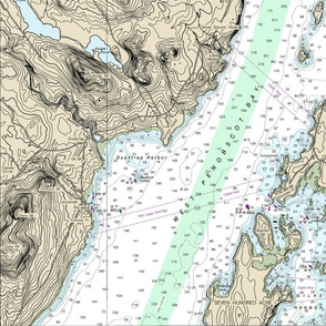 Penobscot Bay Nautical Chart - Spoonflower
