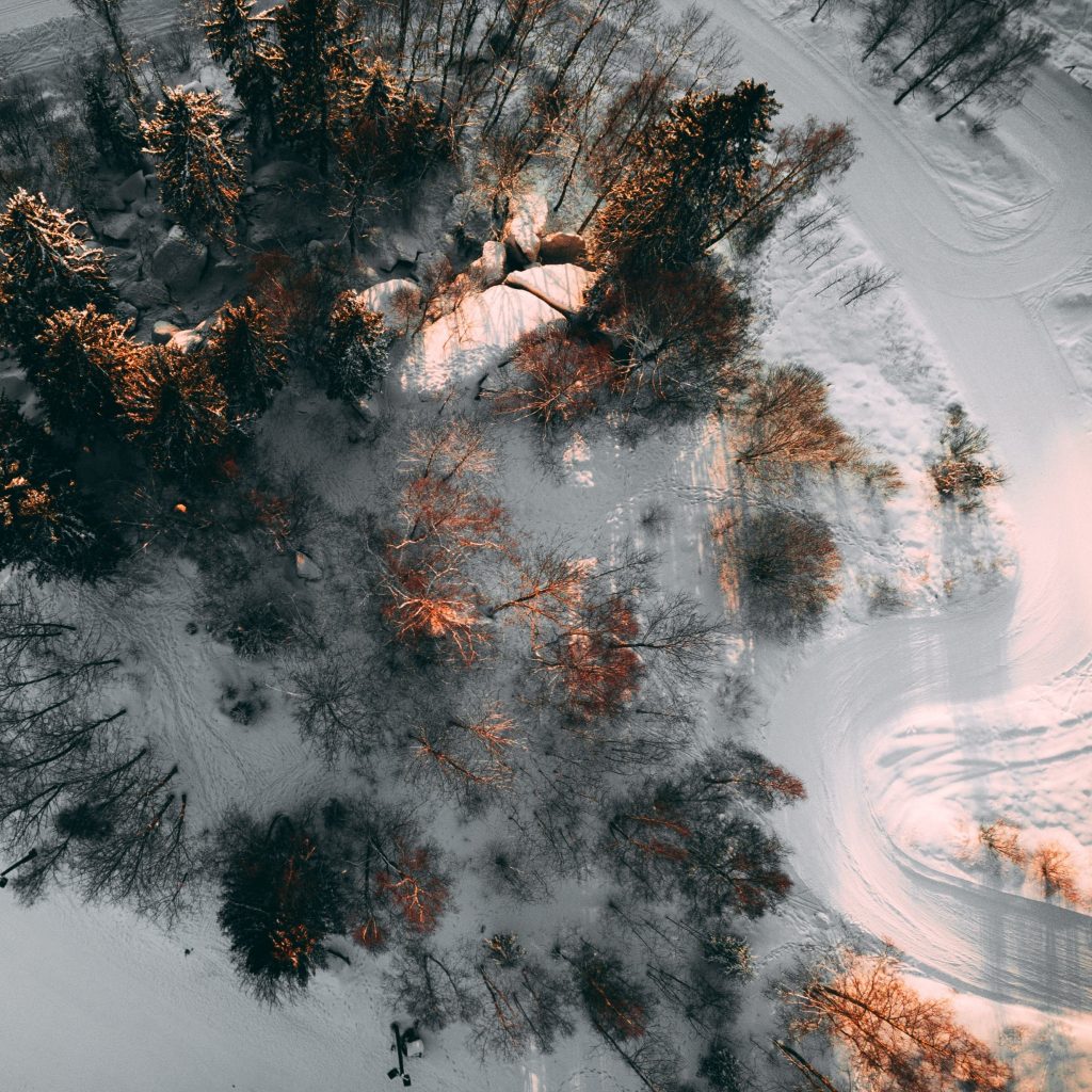 Where I Found Myself - Katya Antonuk - SportGoMag