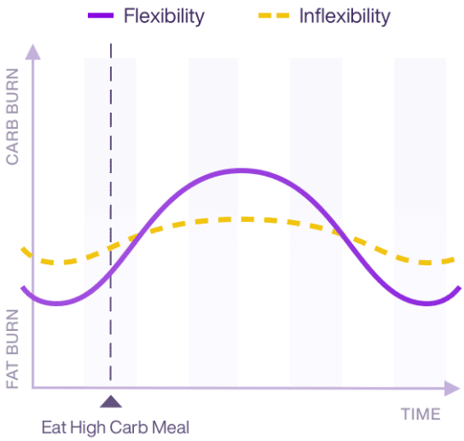 Metabolic Flexibility | Lumen