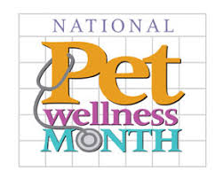 Petchamp Blog