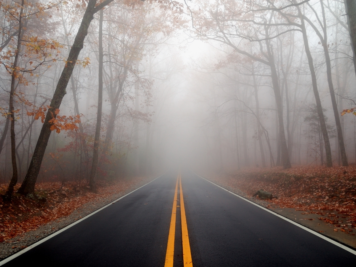 When the Fog Rolls In: The Difference Between Fog, Smog and how it ...