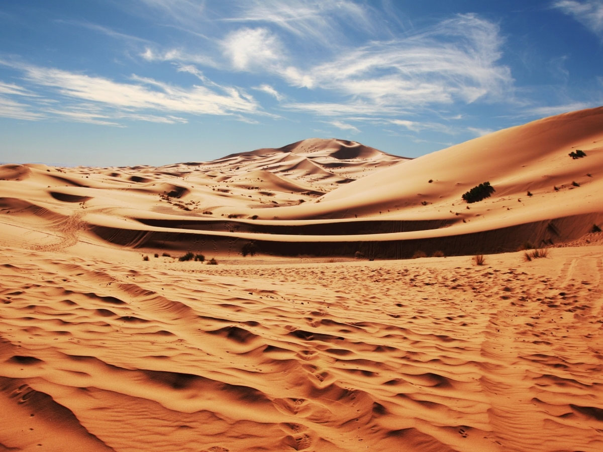 Desert or Jungle? Understanding How Humidity Affects Chronic ...