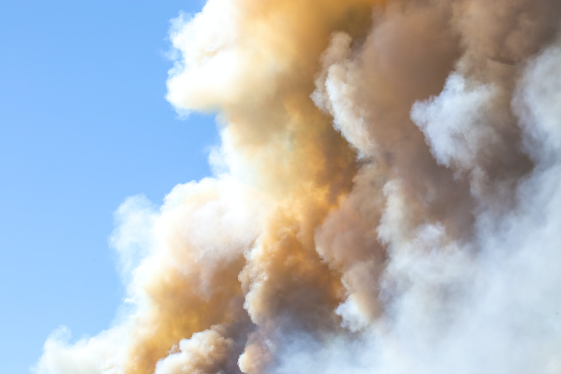 Let's Talk Ears! How Does Smoking or Inhaling Wildfire Smoke Damage ...