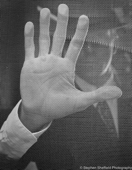 Stephen Sheffield photography