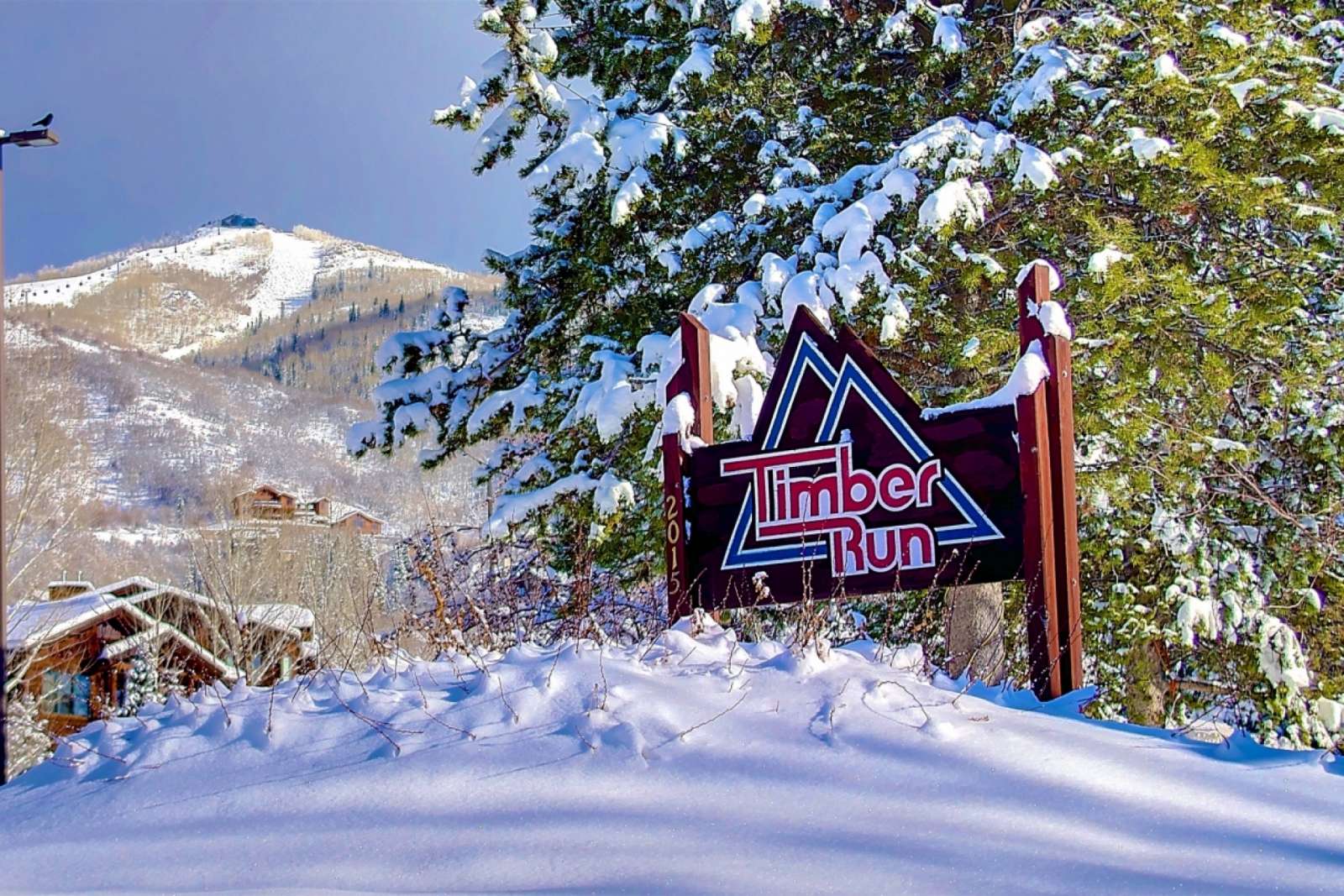 Steamboat Springs Vacation Rental | All the Amenities! Looping Ski ...