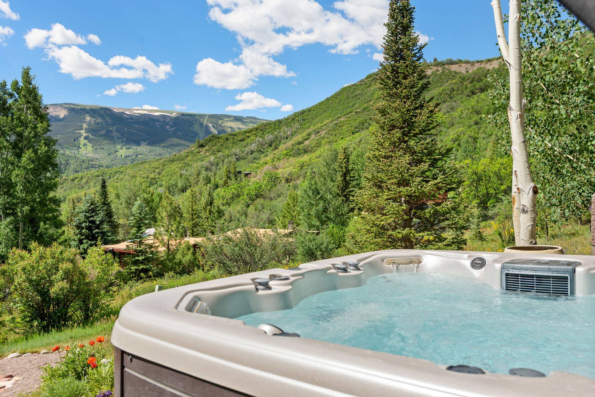Lemond Place Home - Snowmass Village, CO