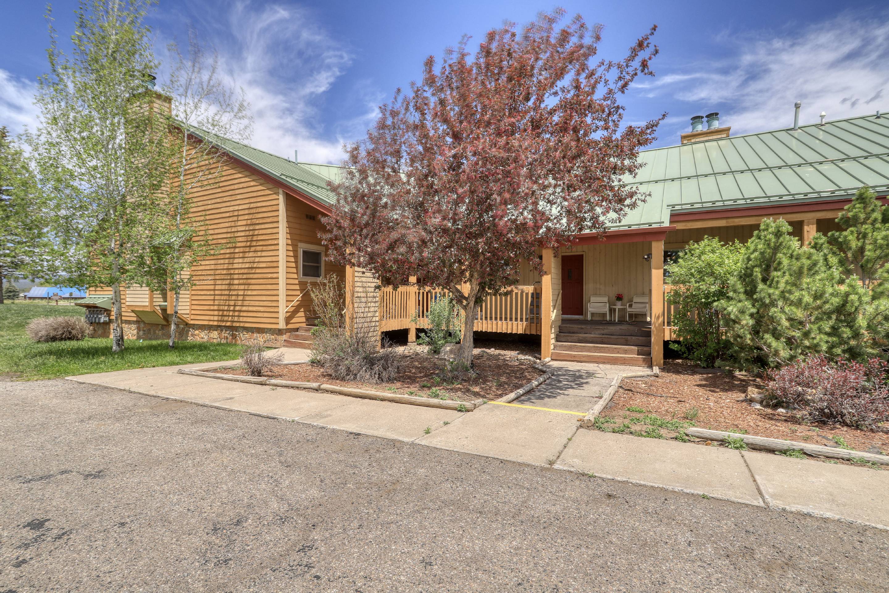 247 Davis Cup #4259 ("Treehouse Condo") - Pagosa Springs, CO