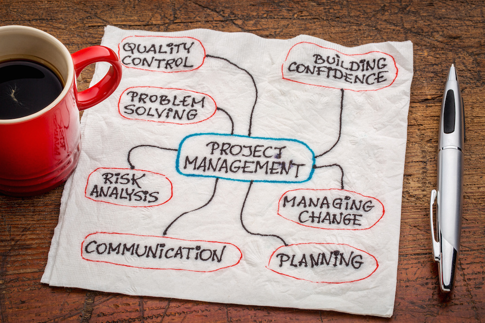 Leading Through Influence: How to Be an Effective Project Manager ...