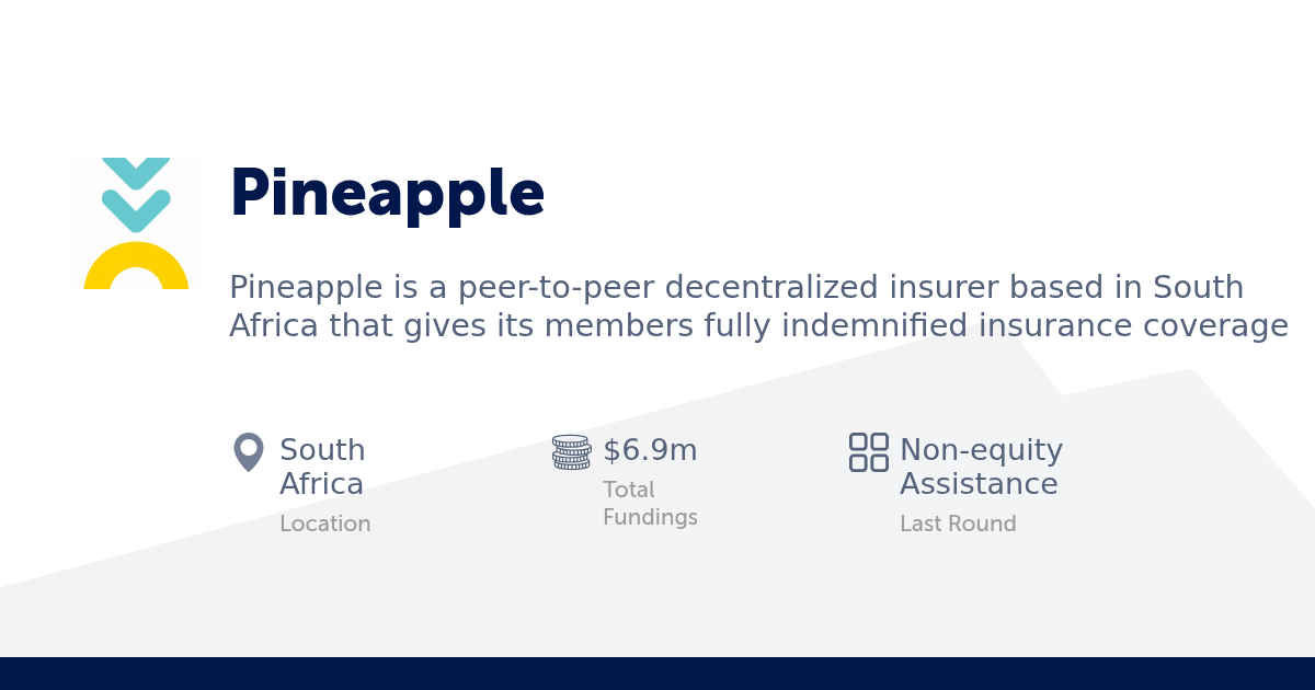 Pineapple - Overview, Financials, Competitors - StartupList Africa