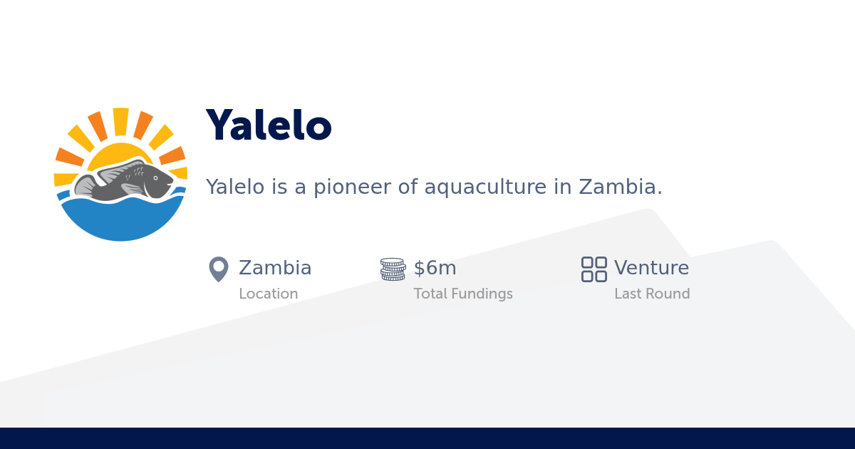 Yalelo - Overview, Financials, Competitors - StartupList Africa