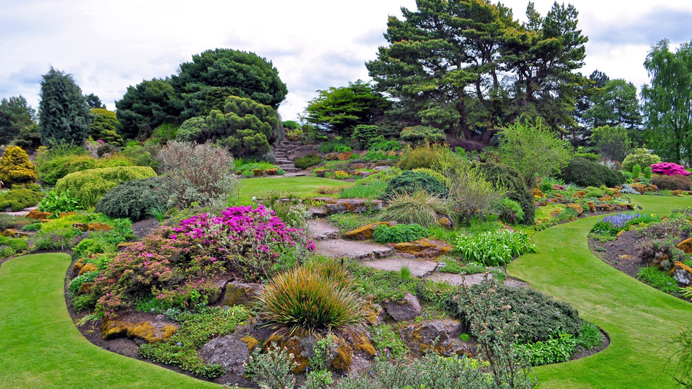 Designing the Yard at Your Timber Home