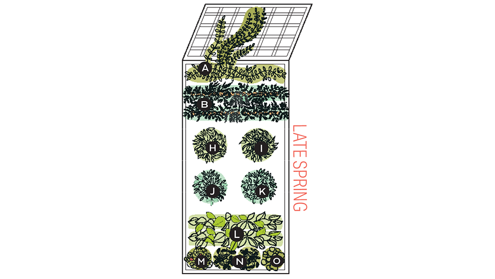 Your Guide to Succession Planting