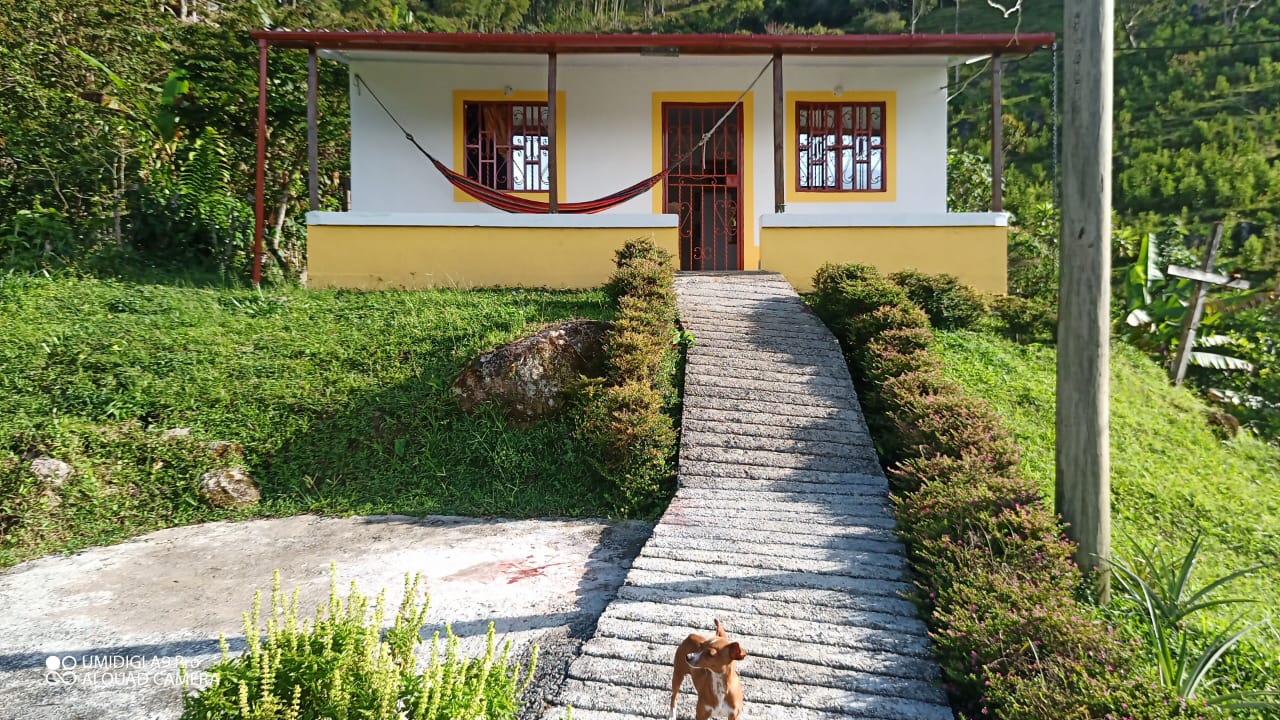 Finca en venta. Ref #10910378