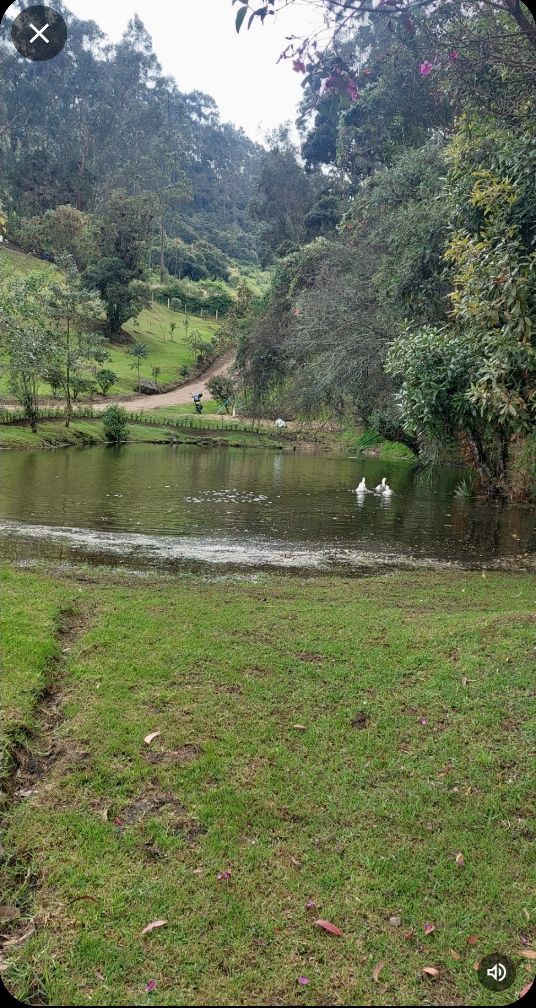 Casa Campestre en Arriendo en Subachoque, Subachoque