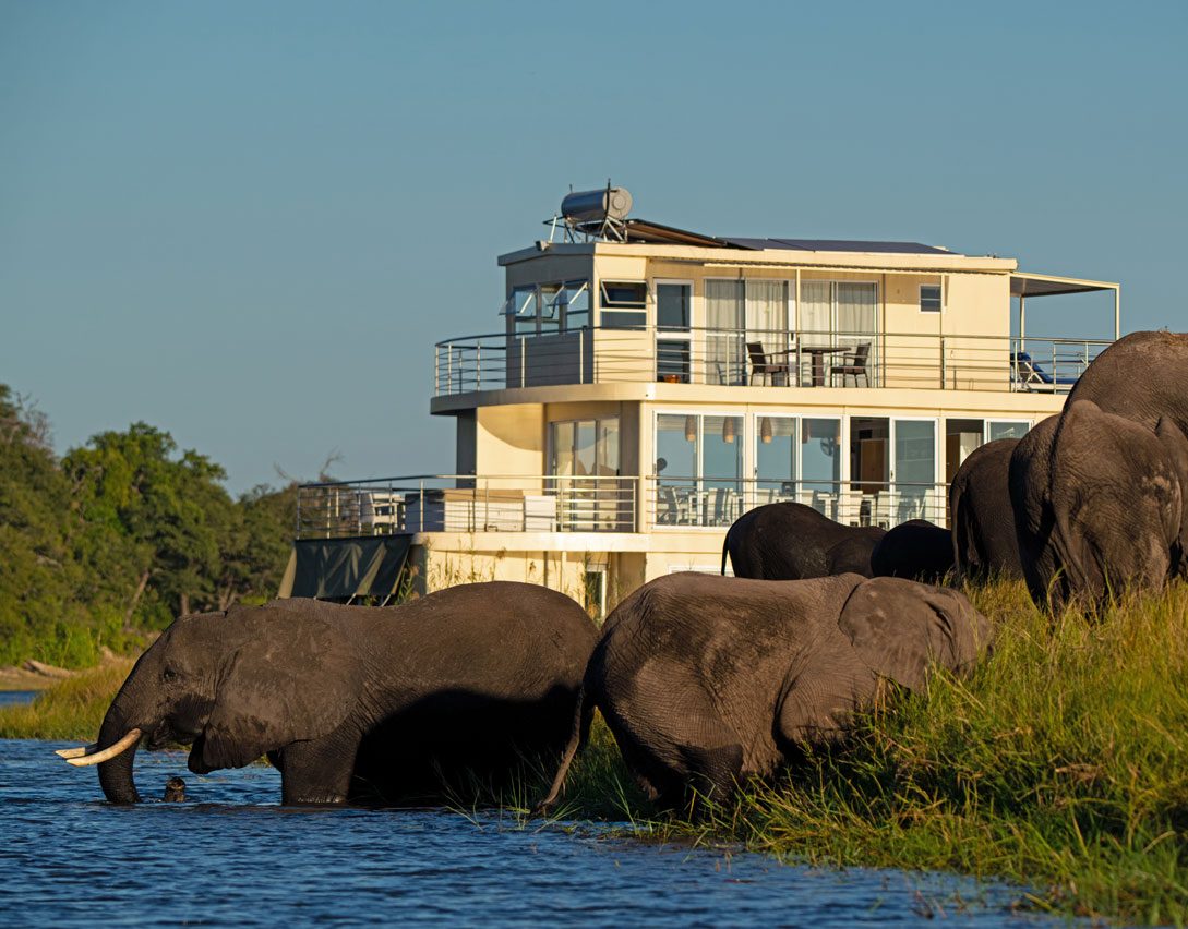 Ultimate Chobe River Safari | Mantis Chobe Princess Houseboats