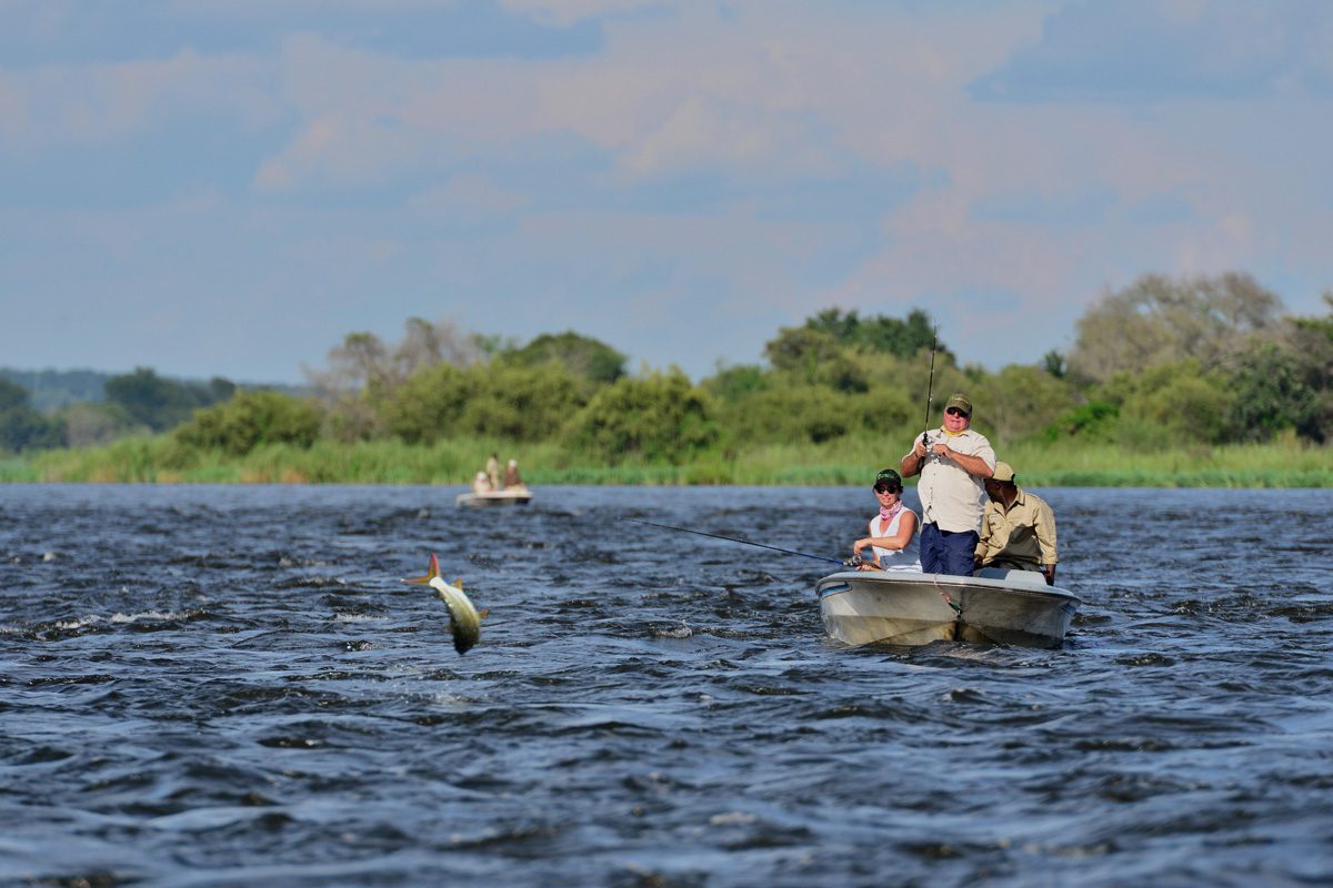 Tiger Fishing on the Chobe - Hotels, eco-lodges and waterways